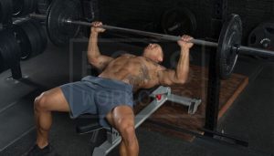 Barbell-Bench-Press-Guide - BOSS Workouts